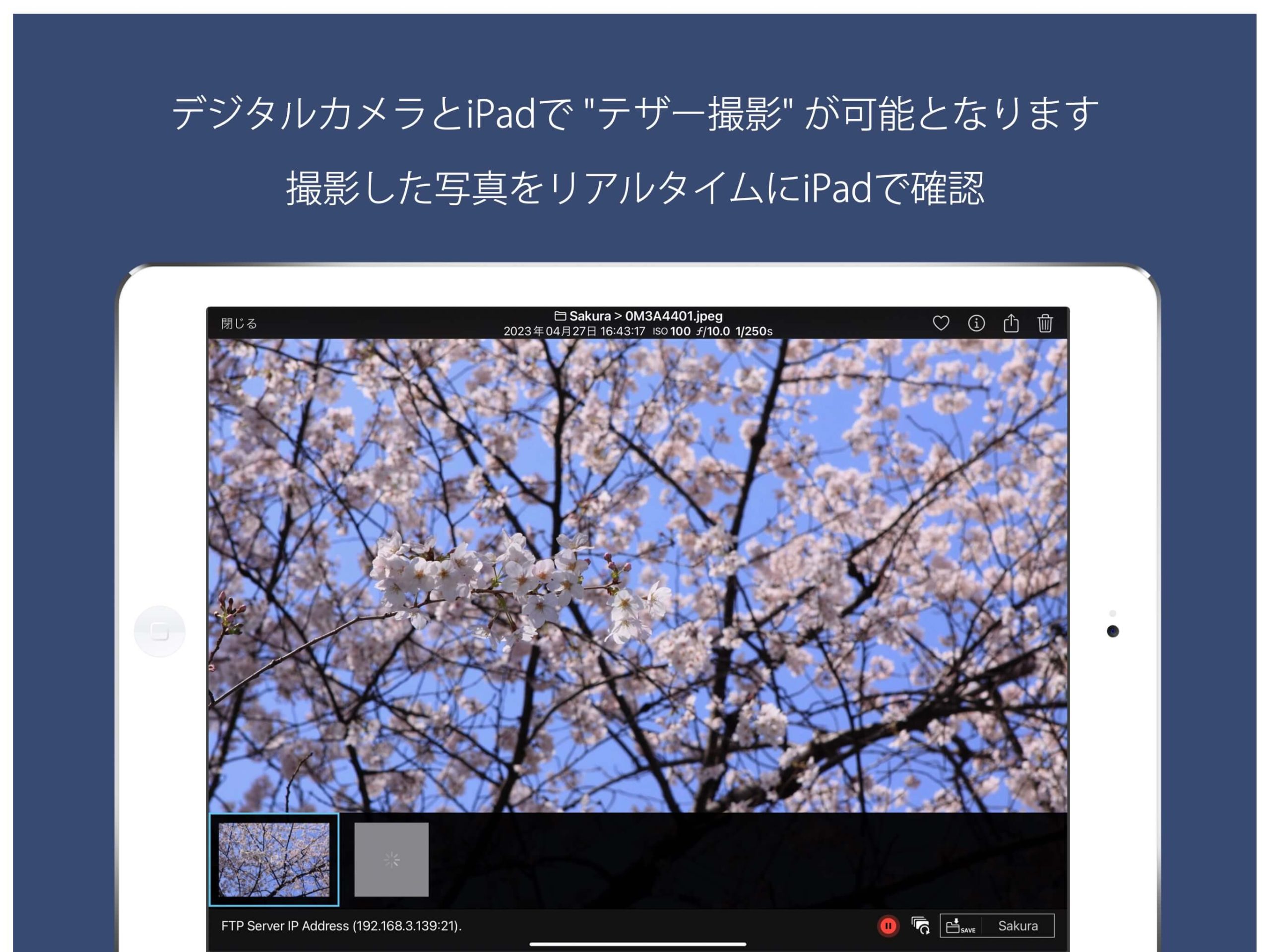 Tezar iPadでテザー撮影 一眼レフカメラからWiFi経由のFTPでiPadへ画像をリアルタイムに転送